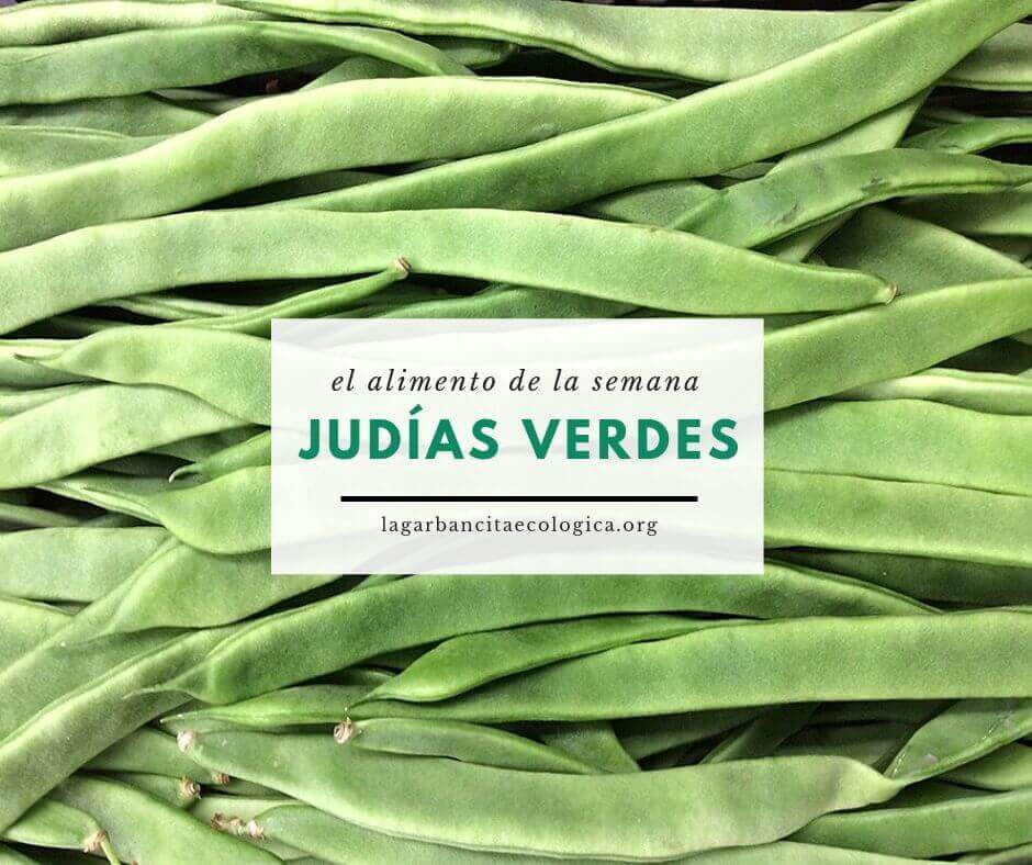 Judía verde, legumbre pero también hortaliza - La Garbancita Ecológica